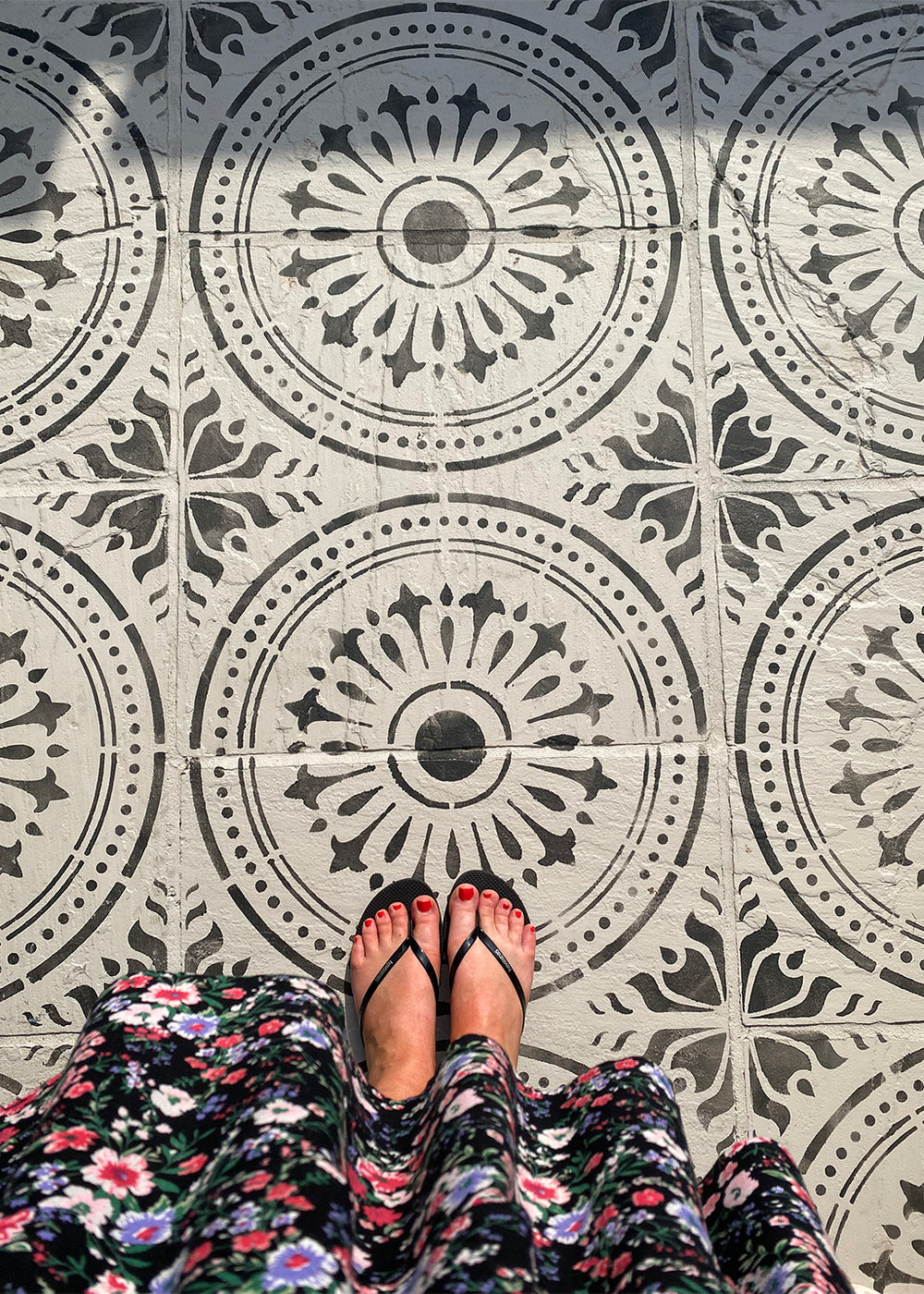 The Dizzy Ducks – Dizzy Duck Designs