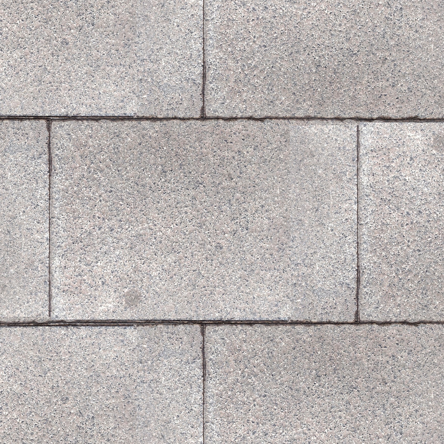 PATIO Quiz – Dizzy Duck Designs