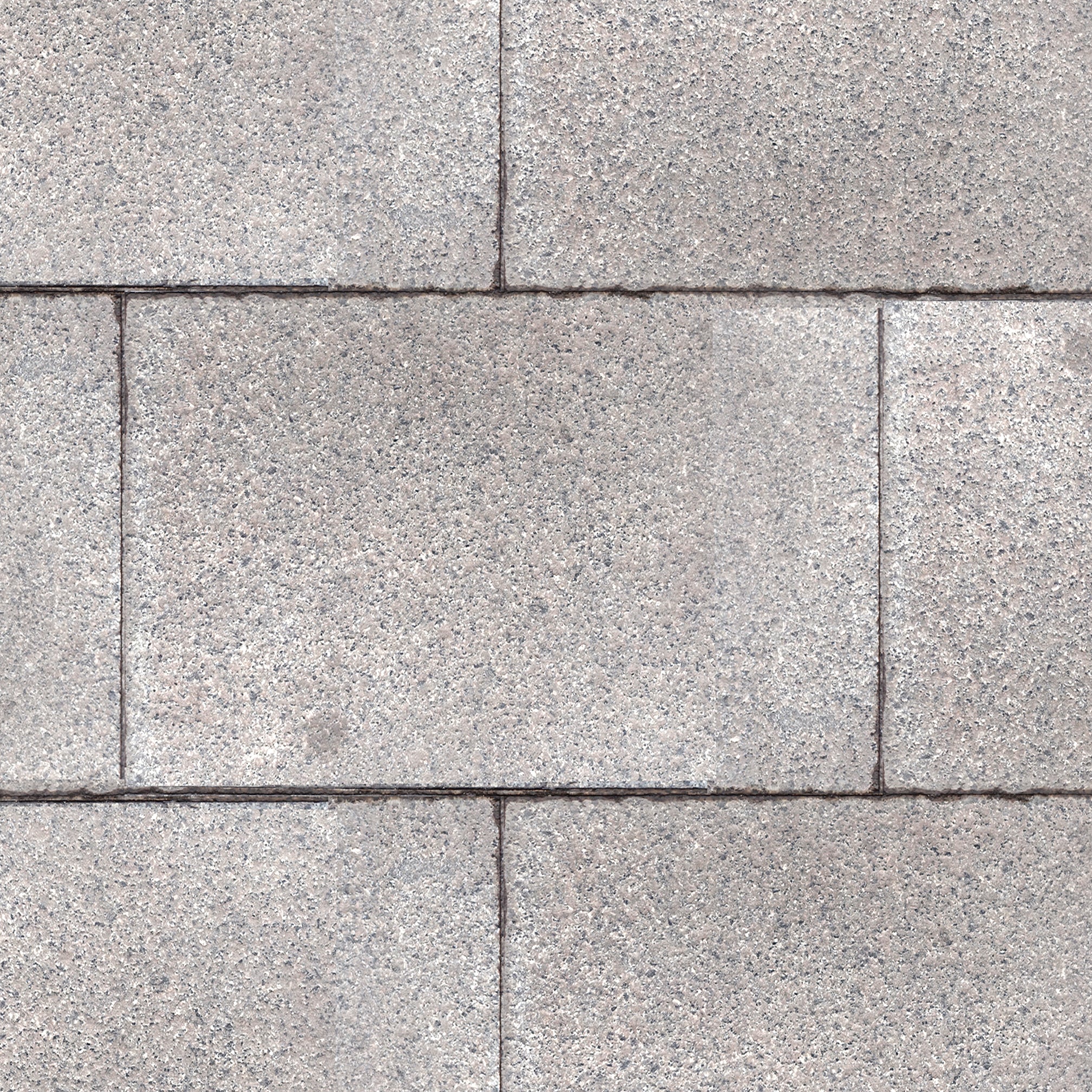 PATIO Quiz – Dizzy Duck Designs