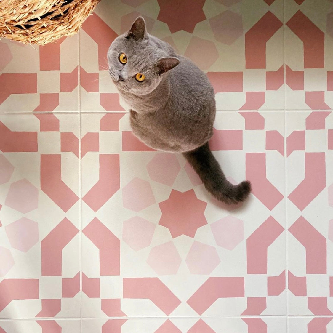 Tile Paint Advice – Dizzy Duck Designs