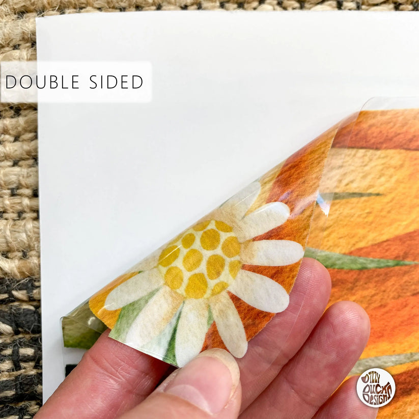 Pumpkin Gnome Window Decal Set – Dizzy Duck Designs