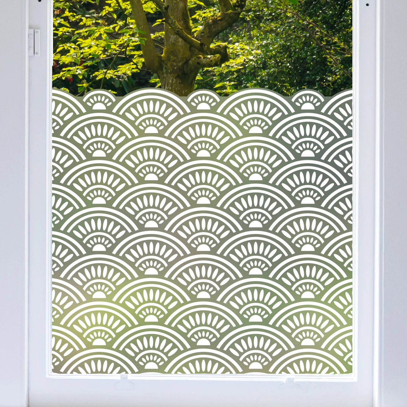 Nagoya Frosted Window Privacy Border – Dizzy Duck Designs