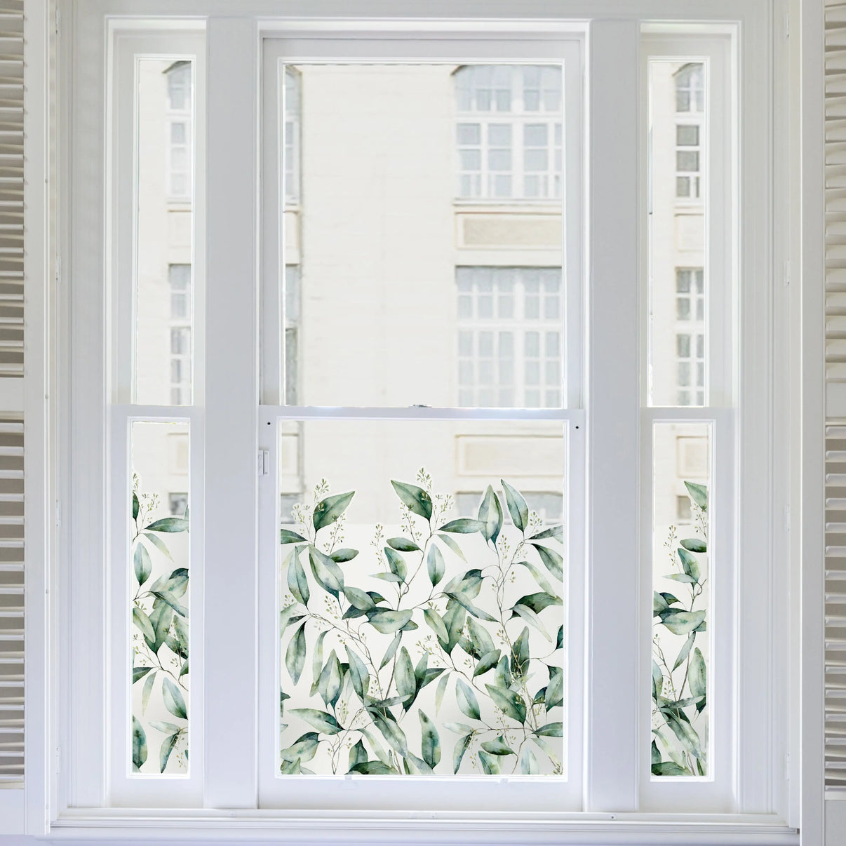 Seeded Eucalyptus Frosted Window Privacy Border – Dizzy Duck Designs