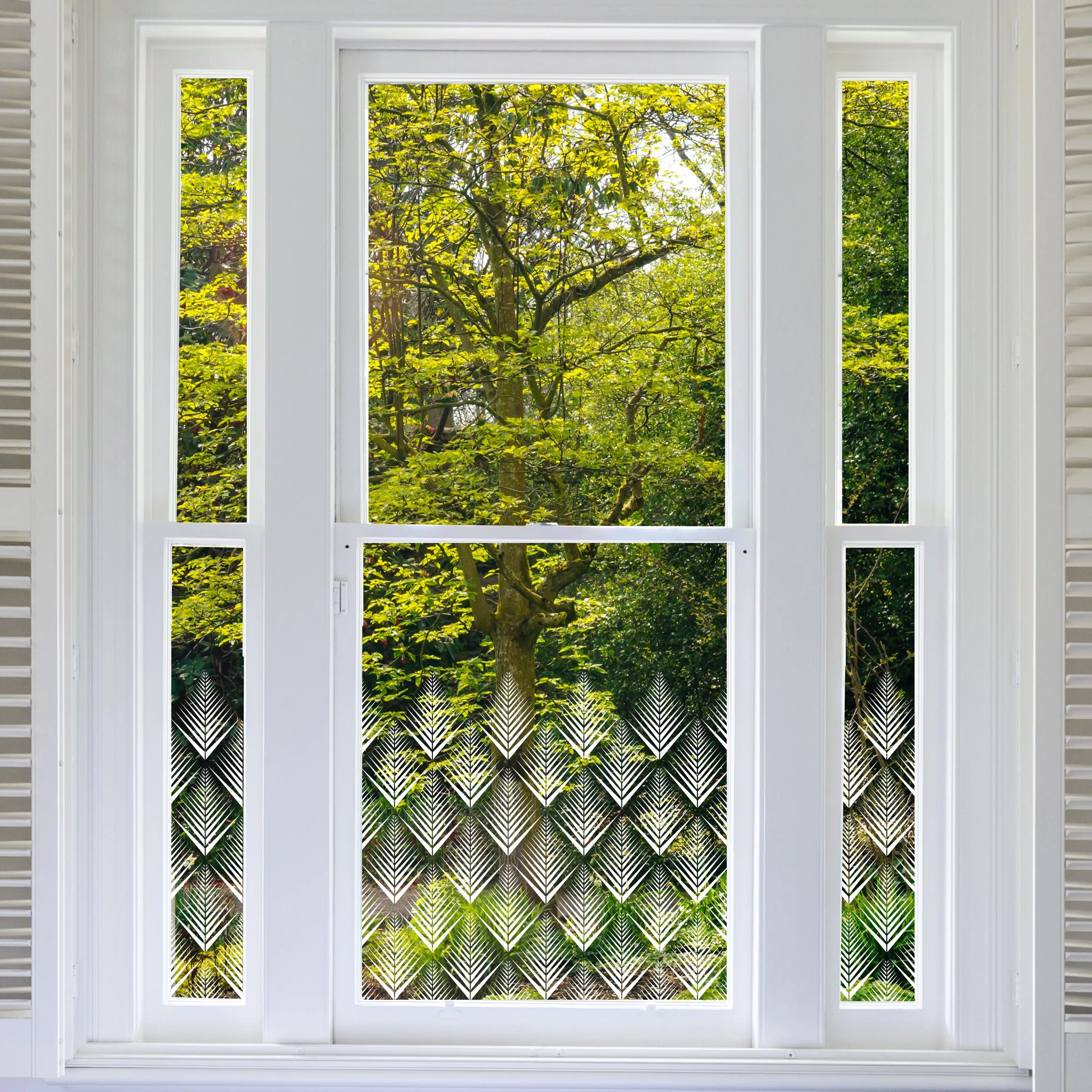 Shelby Clear Window Privacy Border – Dizzy Duck Designs